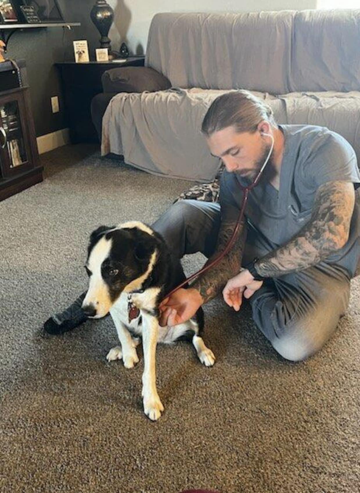 Dr. Austin Russell Bio | Heal House Call Veterinarian Library